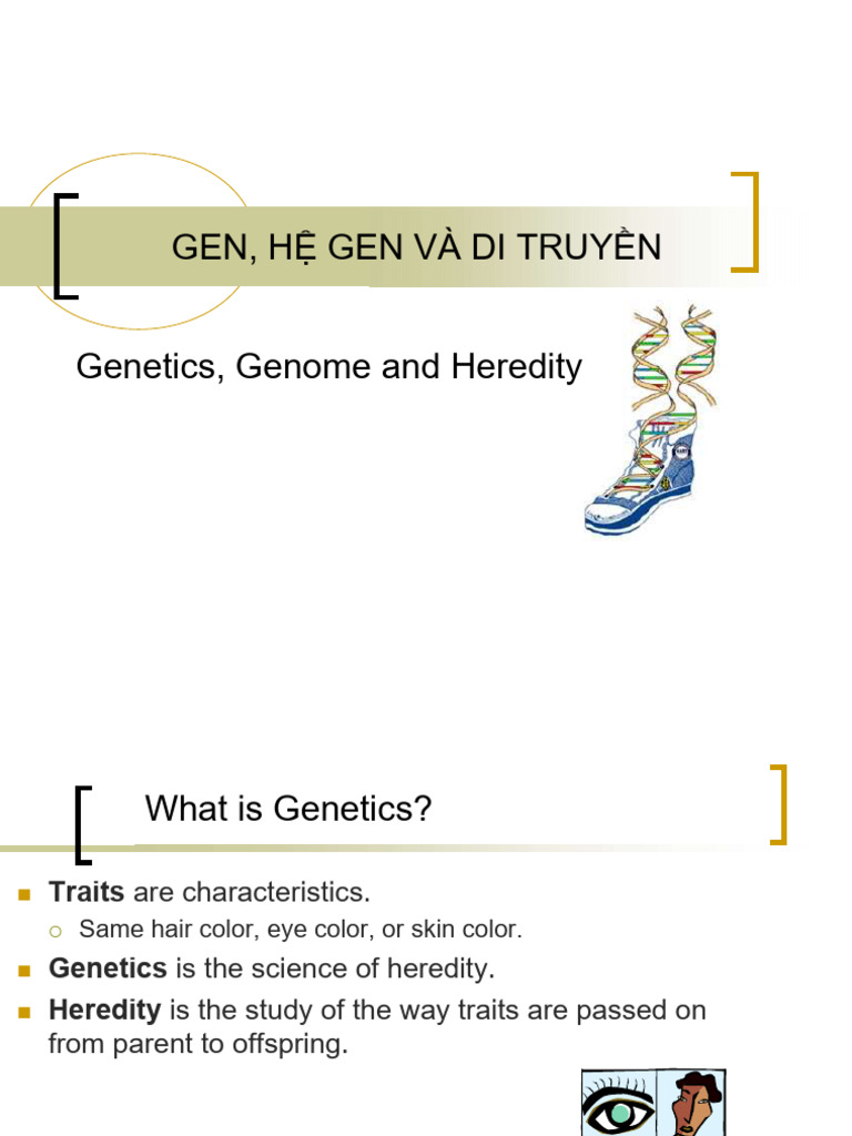Gen, hệ gen và di truyền - Tiếng Anh | PDF
