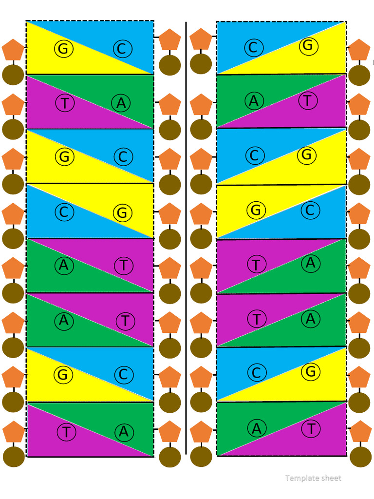 DNA Origami Temaplates | PDF