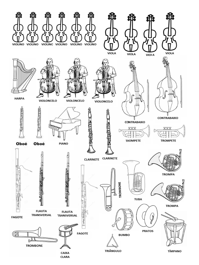 Instrumentos - Mapa Orquestral | PDF
