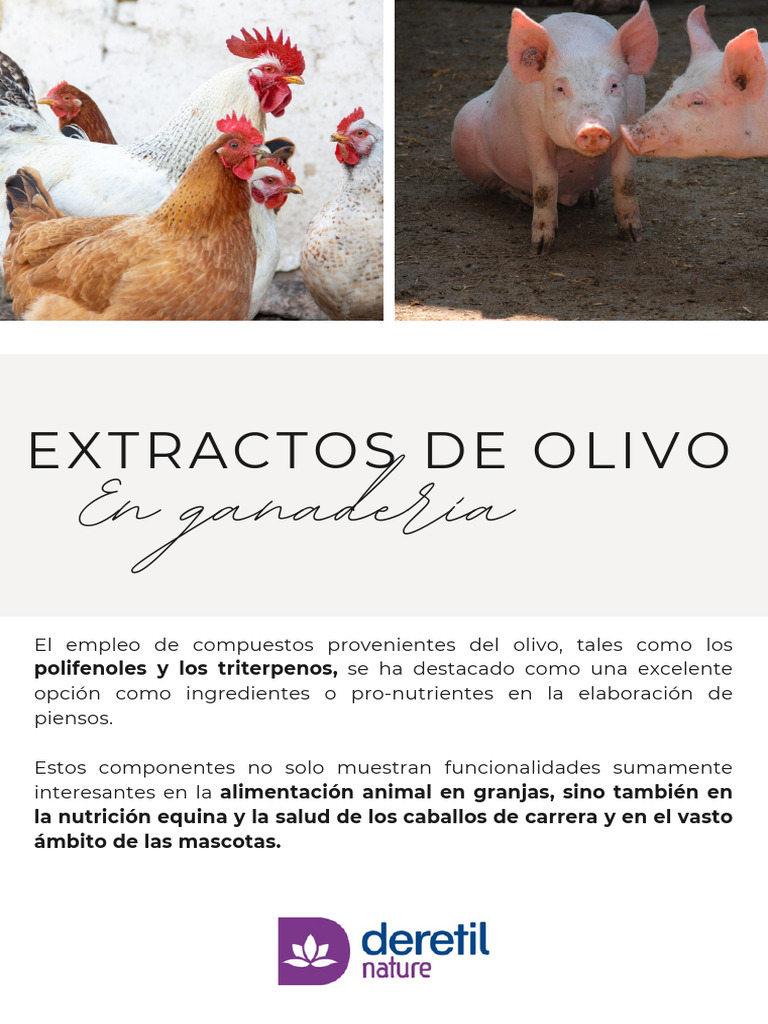OLIVO EN GANADERÍA | PDF