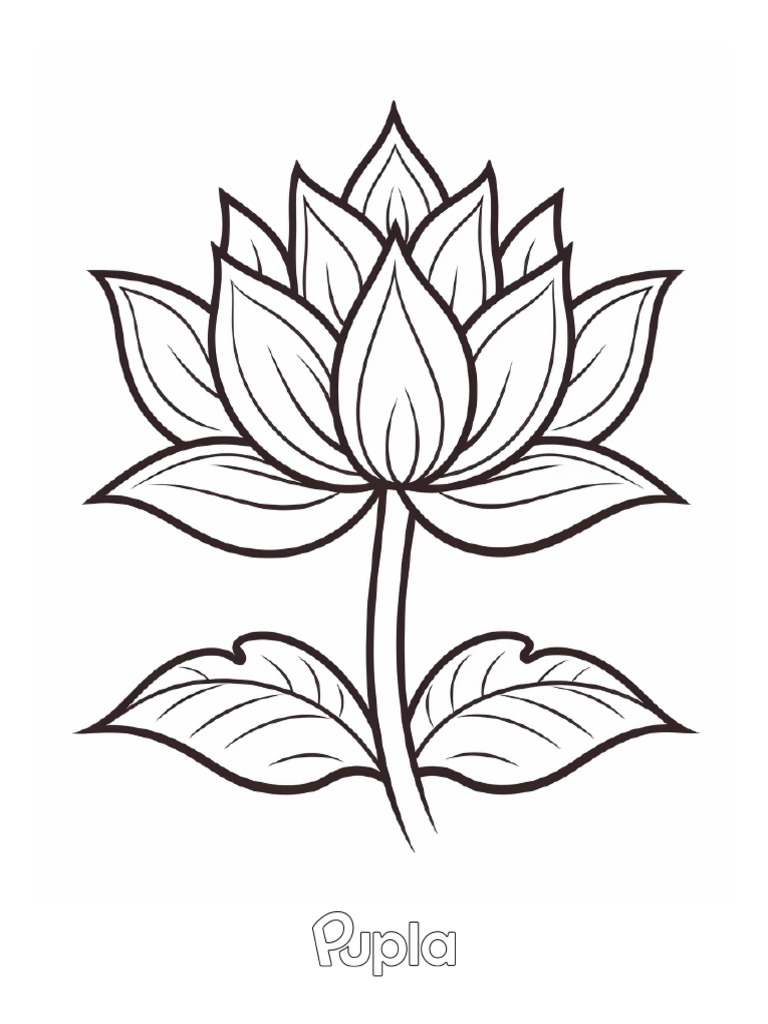 Lotus Flower | PDF
