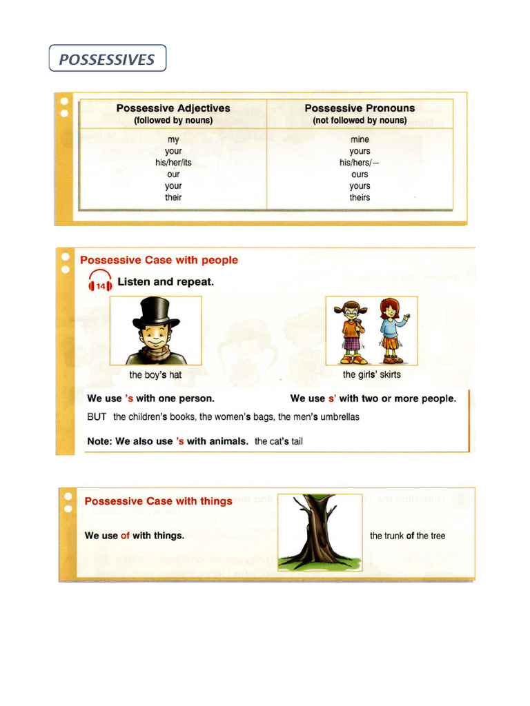 POSSESSIVES | PDF