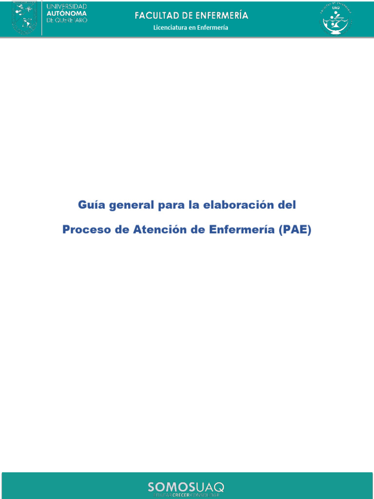 Guia General Pae_2020 (2) | PDF