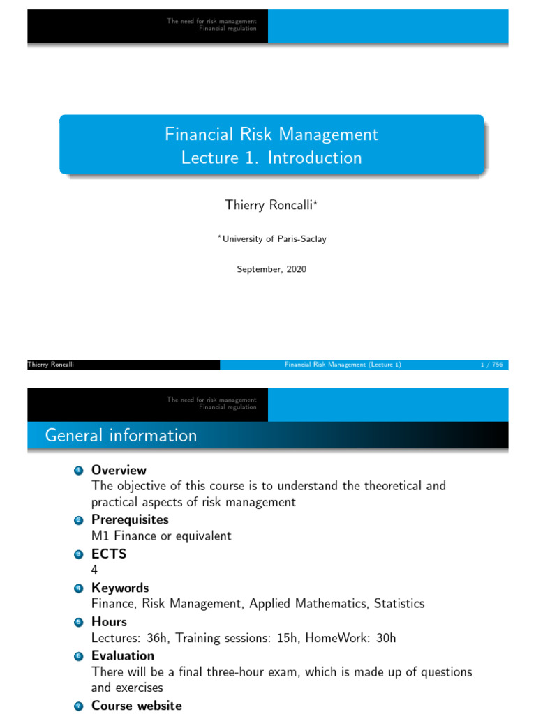 Financial Risk Management Lecture Part 1 1726909278 | PDF