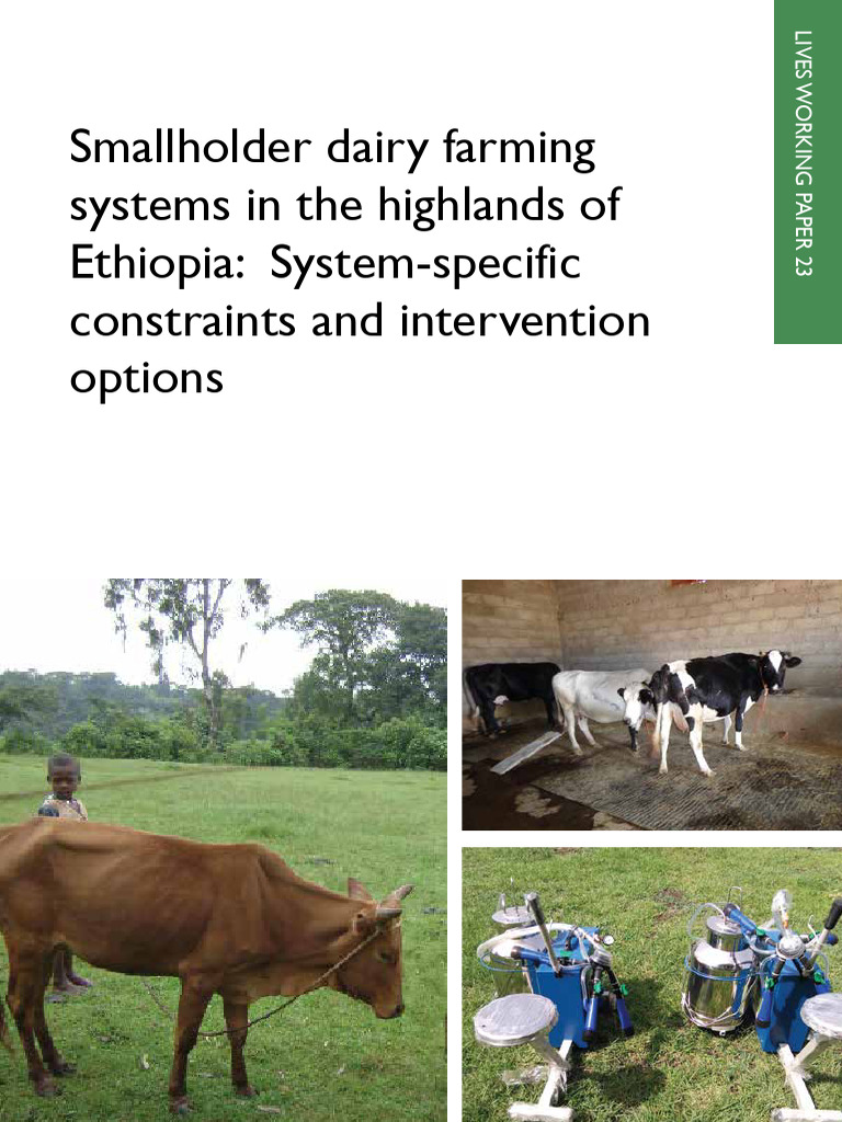 Smallholder Dairy Farming Systems in The Highlands of Ethiopia: System ...