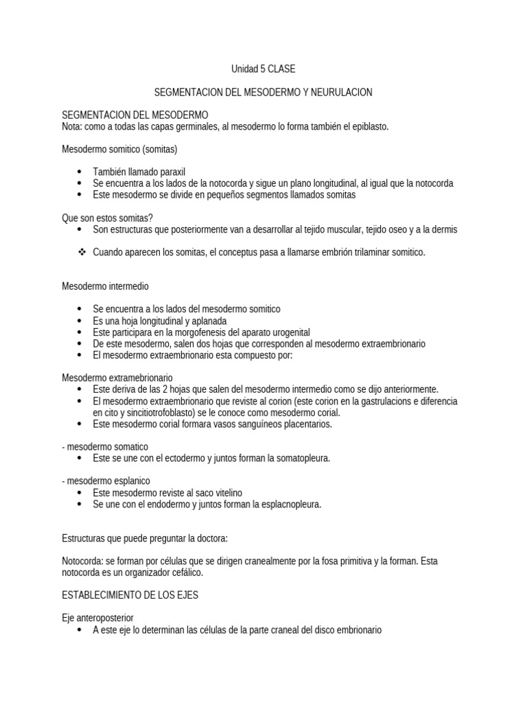 Unidad 5 CLASE | PDF