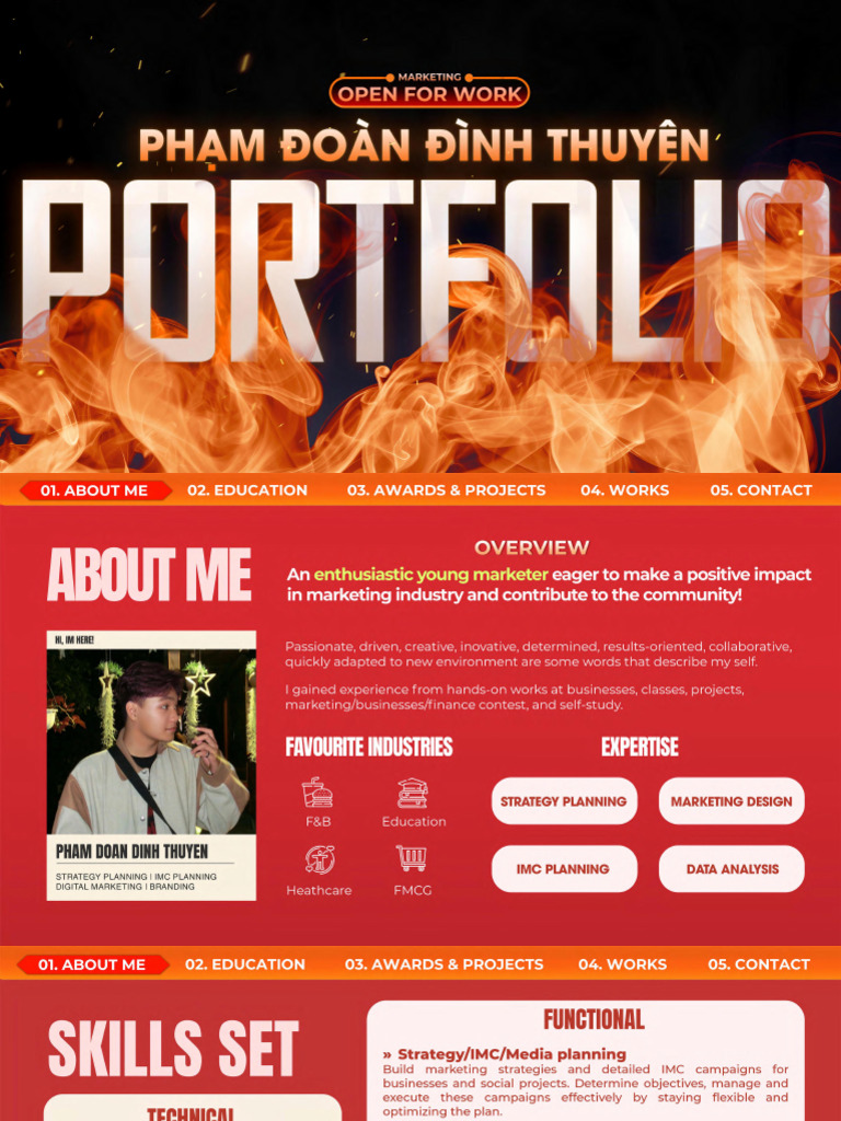 Pham Doan Dinh Thuyen Portfolio | PDF