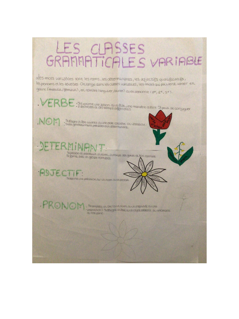 Carte Mentale Sur Les Classes Grammaticales Variables | PDF