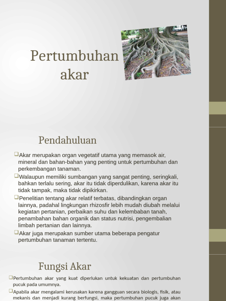 Pertumbuhan Akar Fistum Lanjutan | PDF