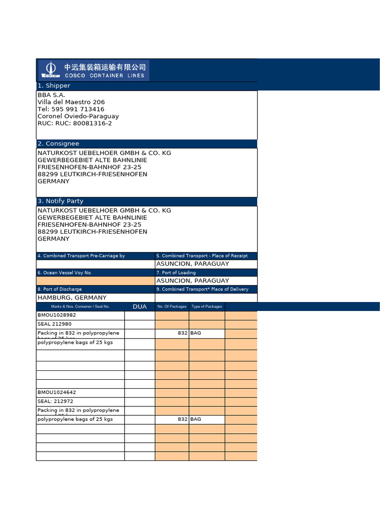 FORMATO COSCO | PDF