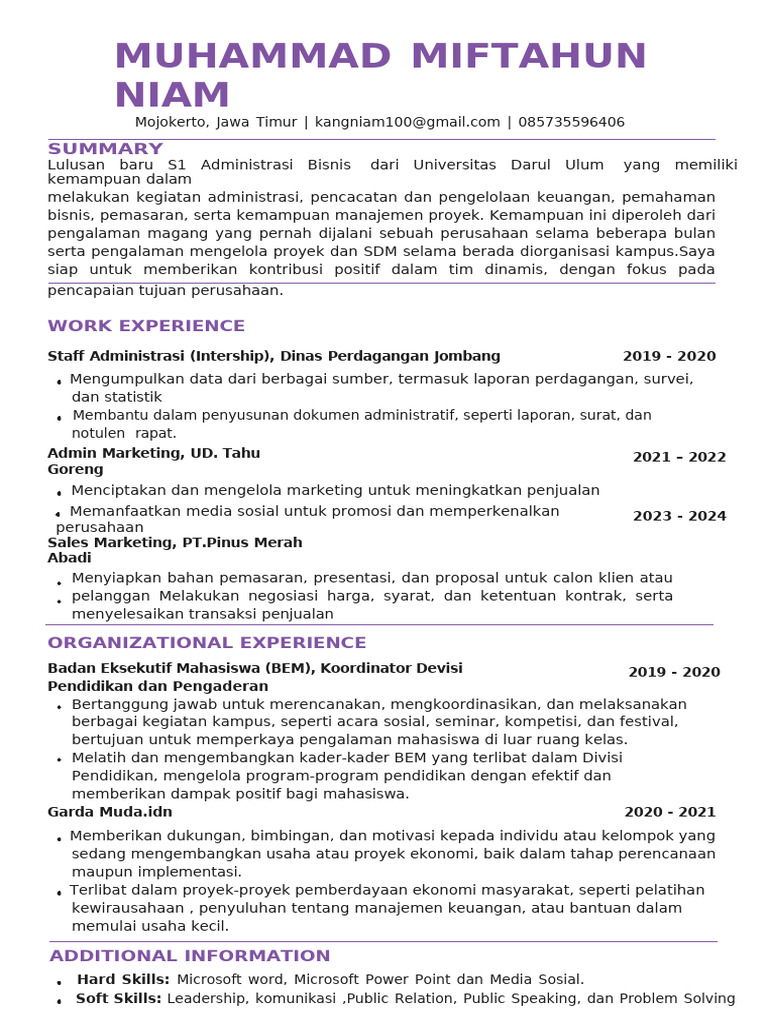 Professional CV Resume | PDF