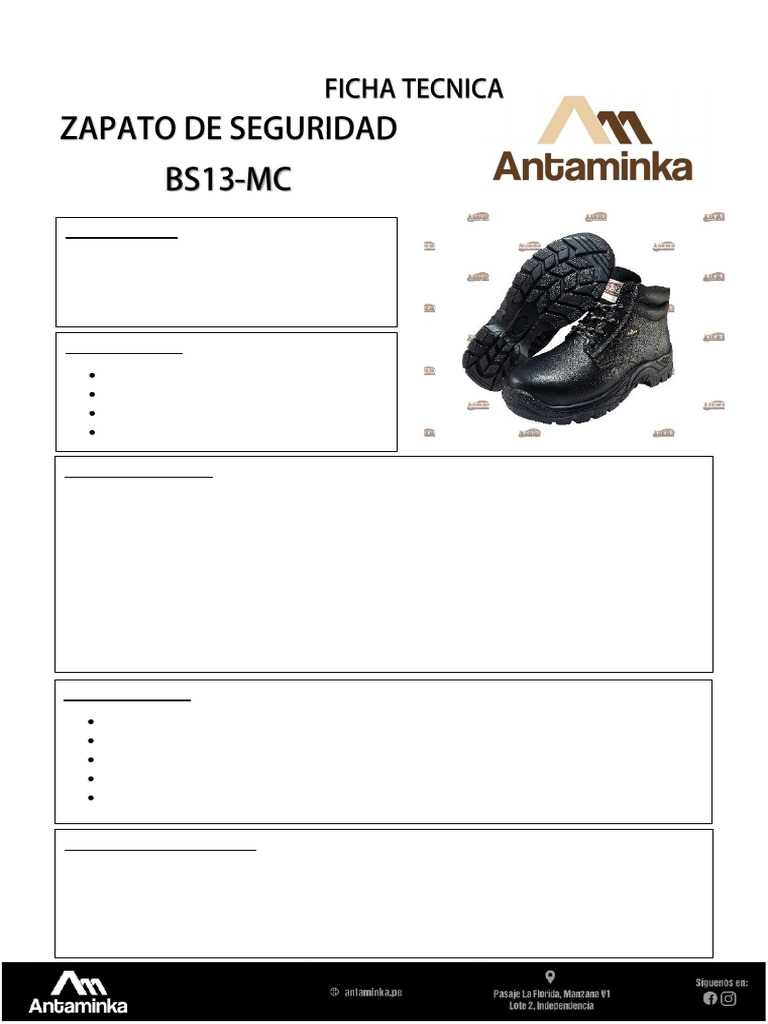 Ficha Técnica - Zapatos | PDF