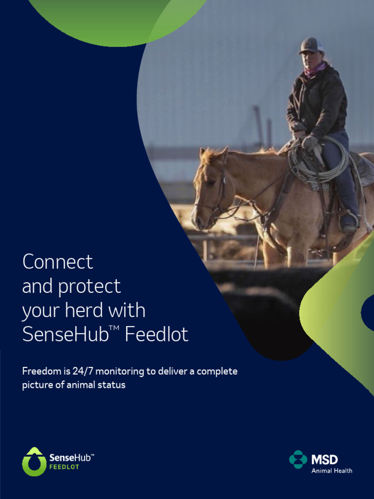 SenseHub Feedlot MSD Brochure 2023 | PDF