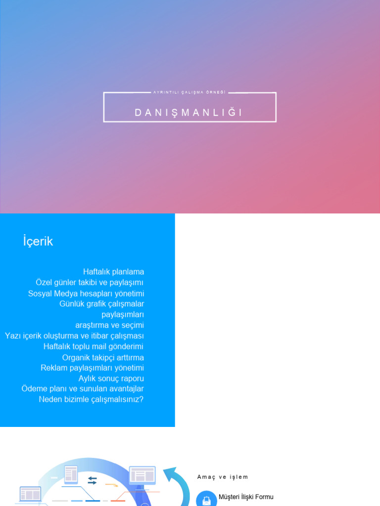 Whitelabel - Sosyal Medya Danismanlik Ornek Calisma | PDF