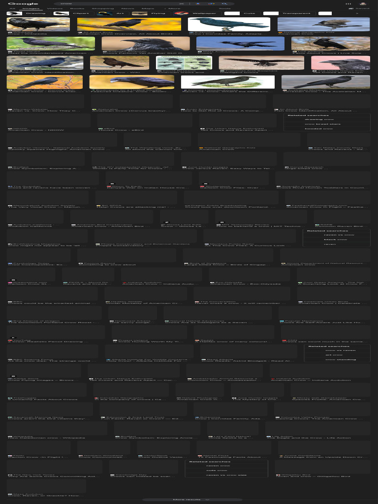 Crow - Google Search | PDF