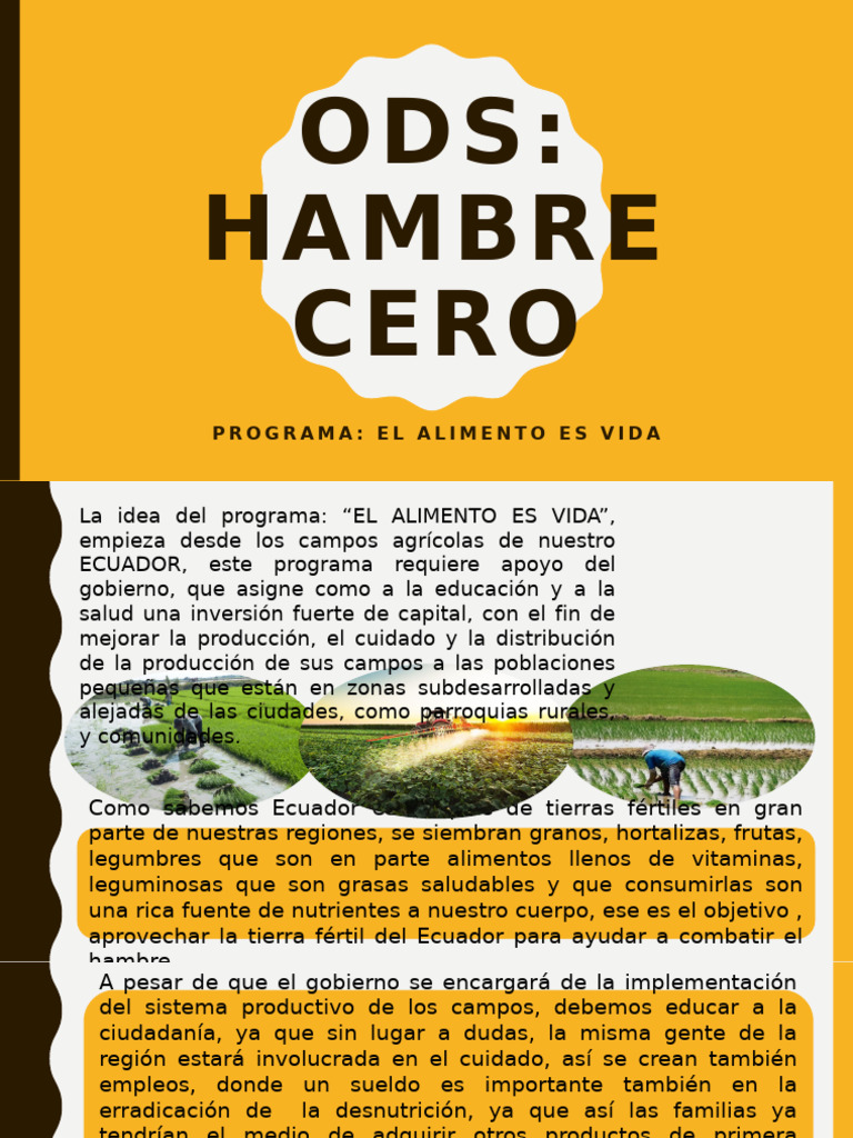Ods: Hambre Cero: Programa: El Alimento Es Vida | PDF