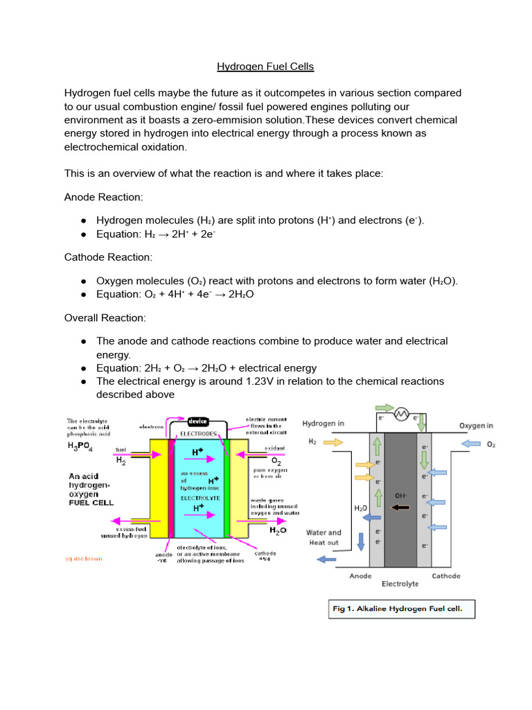Hydrogen Fuel Cells | PDF
