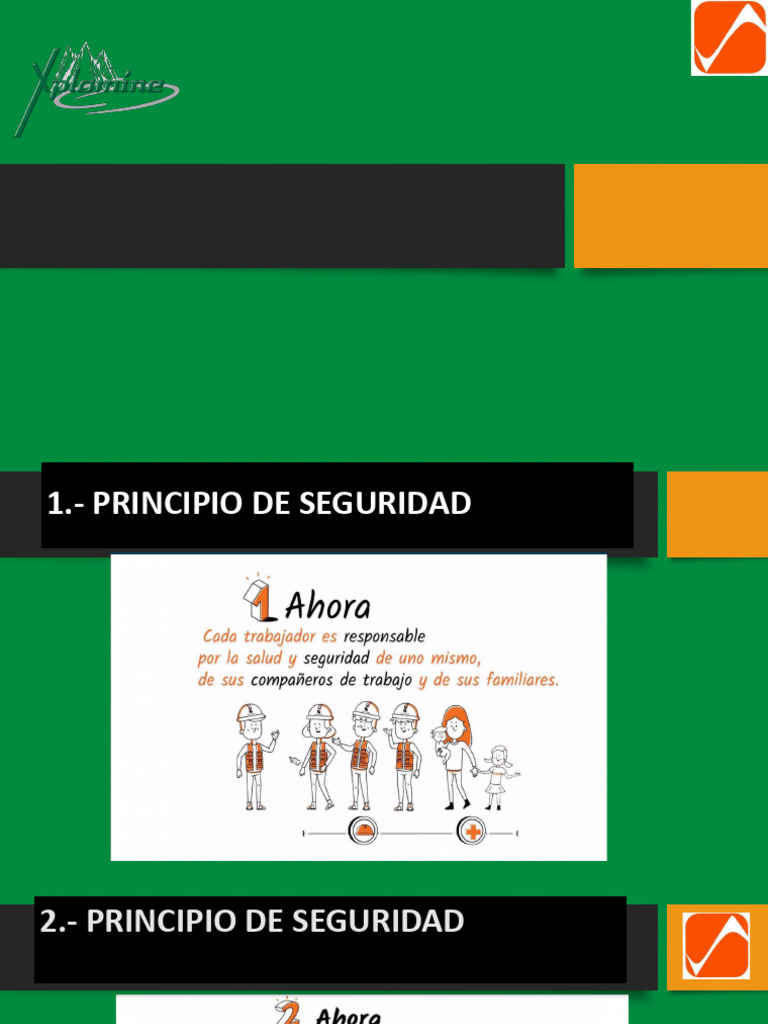 4 Principios | PDF