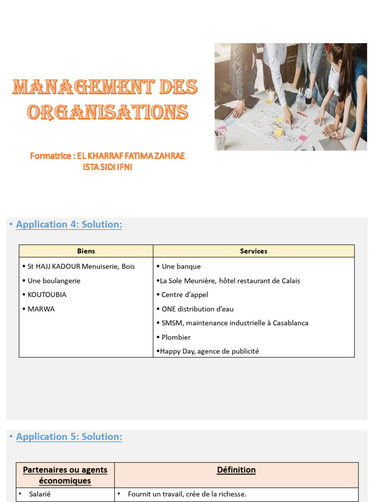Management Des Orga GE 102-1 | PDF