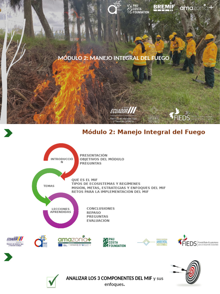 Módulo 2. Manejo Integral Del Fuego, Ecuador | PDF | Incendios ...