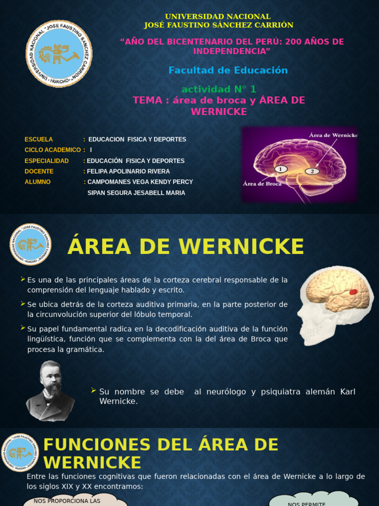 Area de Broca y Wernicke | PDF