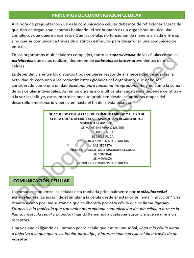 Señalizacion Celular Pdf