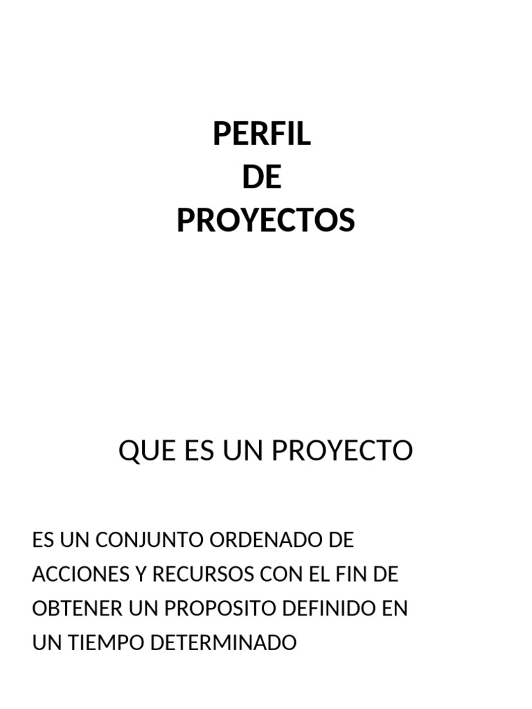 Perfil de Proyectos | PDF
