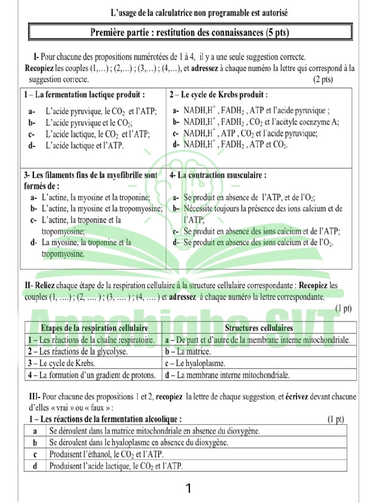 Contrôle ATP Et Muscle | PDF
