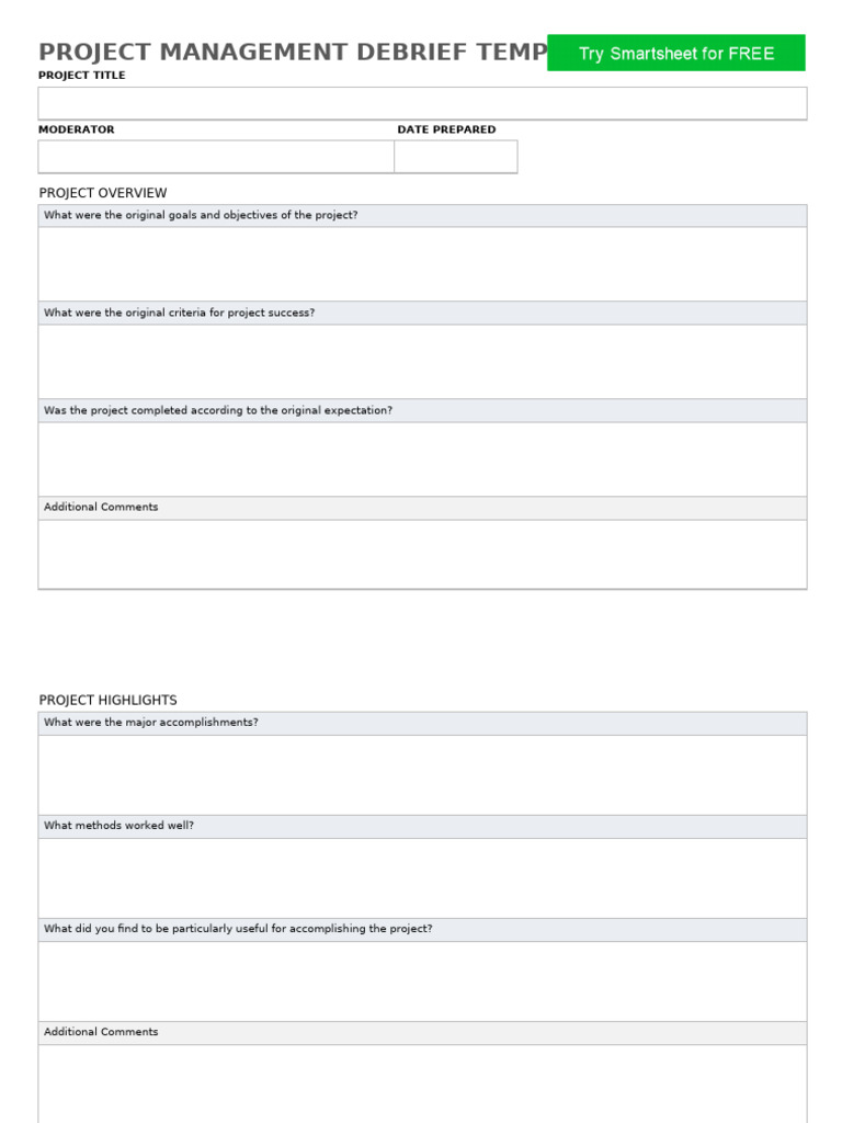 IC Project Management Debrief 11408 - WORD | PDF