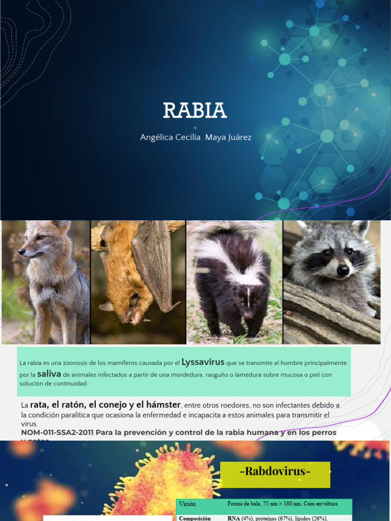 Rabia | PDF