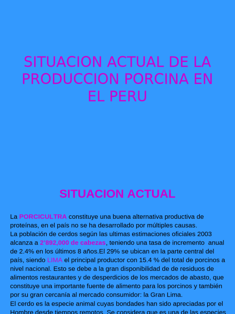Situacion Actual de La Produccion Porcina | PDF