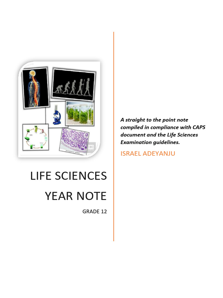 Grade 12 Year Note - 2024 | PDF