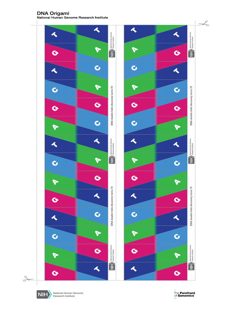 Dna Origami Nhgri 70th | PDF