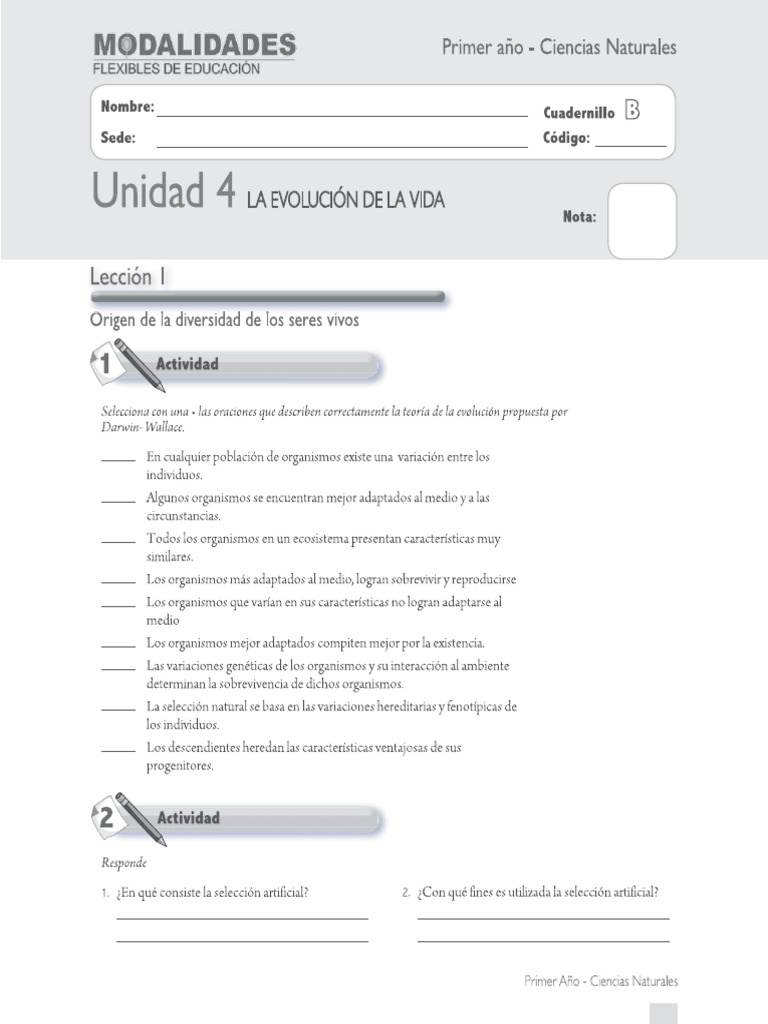 1° Año-Módulo4-Leccion 1-B | PDF