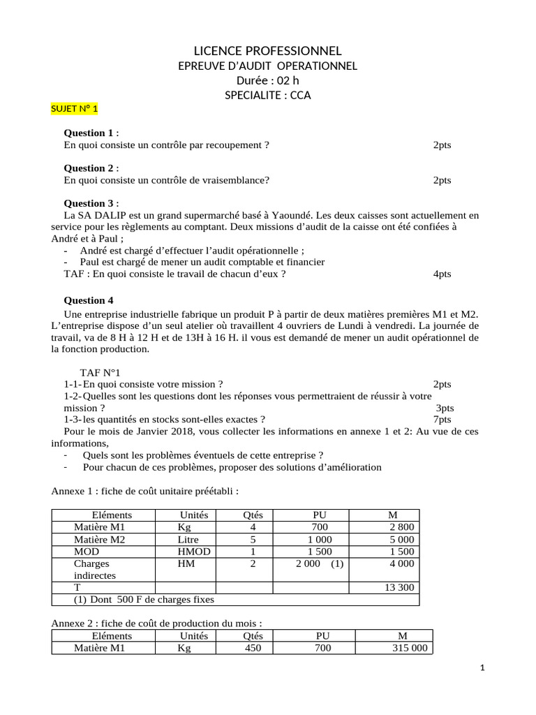 Propo Lic Prof-Audit Opérationnel | PDF