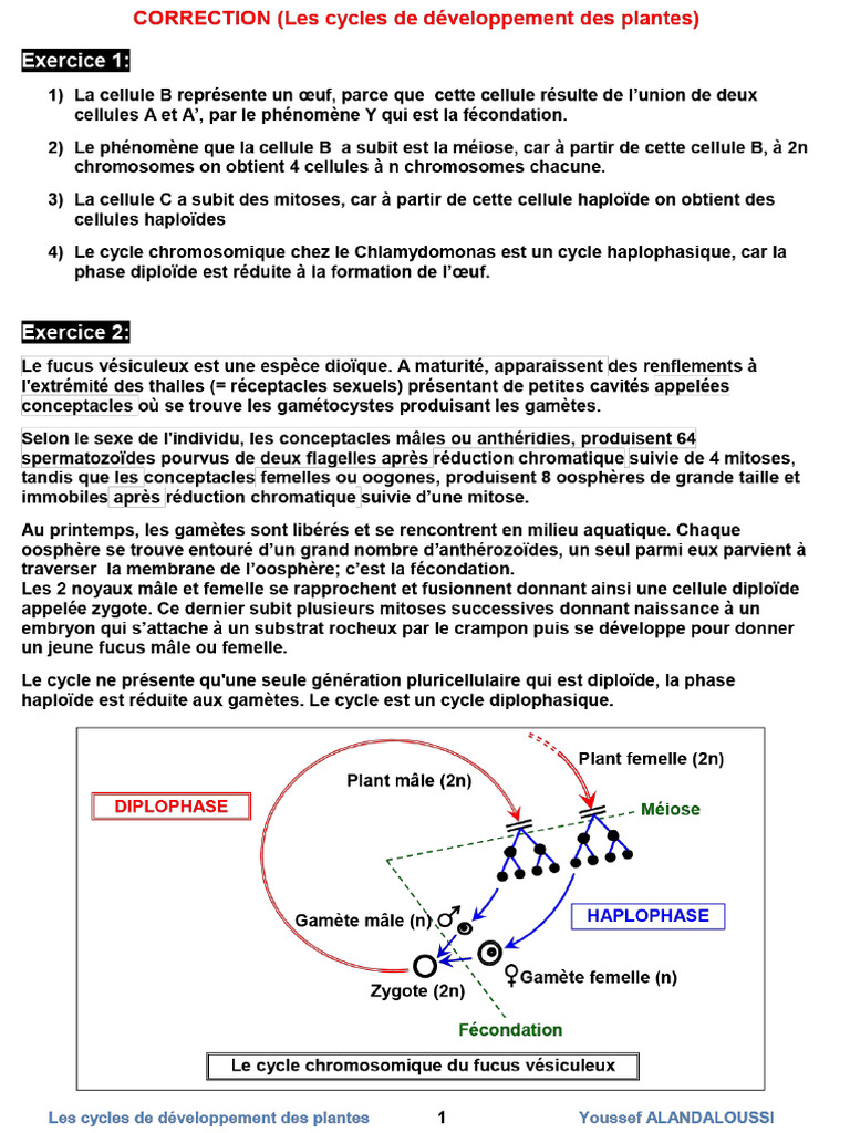 Exercices Unit2 3 Correction | PDF