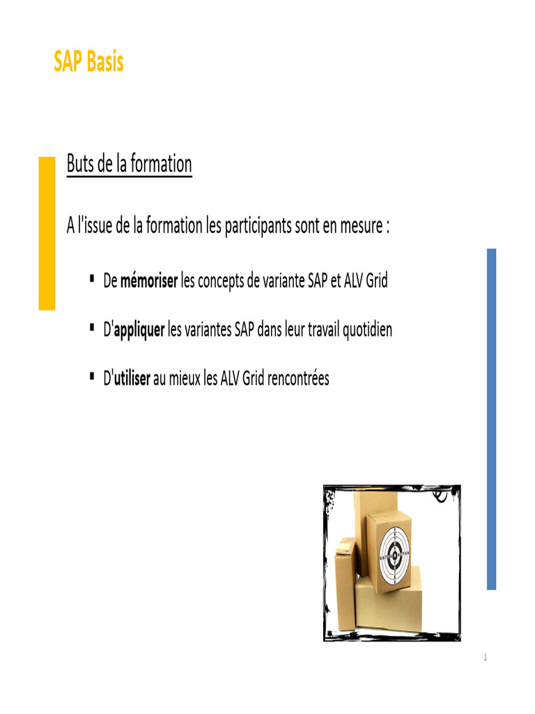 Introduction 05 SAP Variante-ALV Grid V1x | PDF