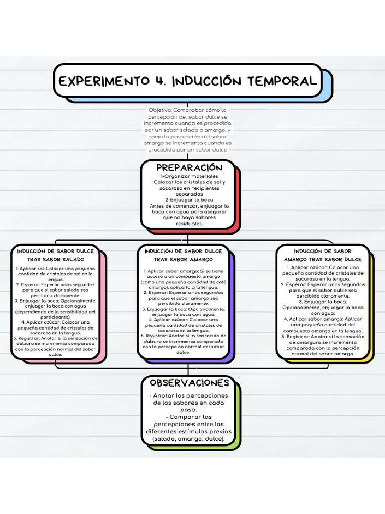Mapa Conceptual Esquema Doodle Infantil Multicolor | PDF