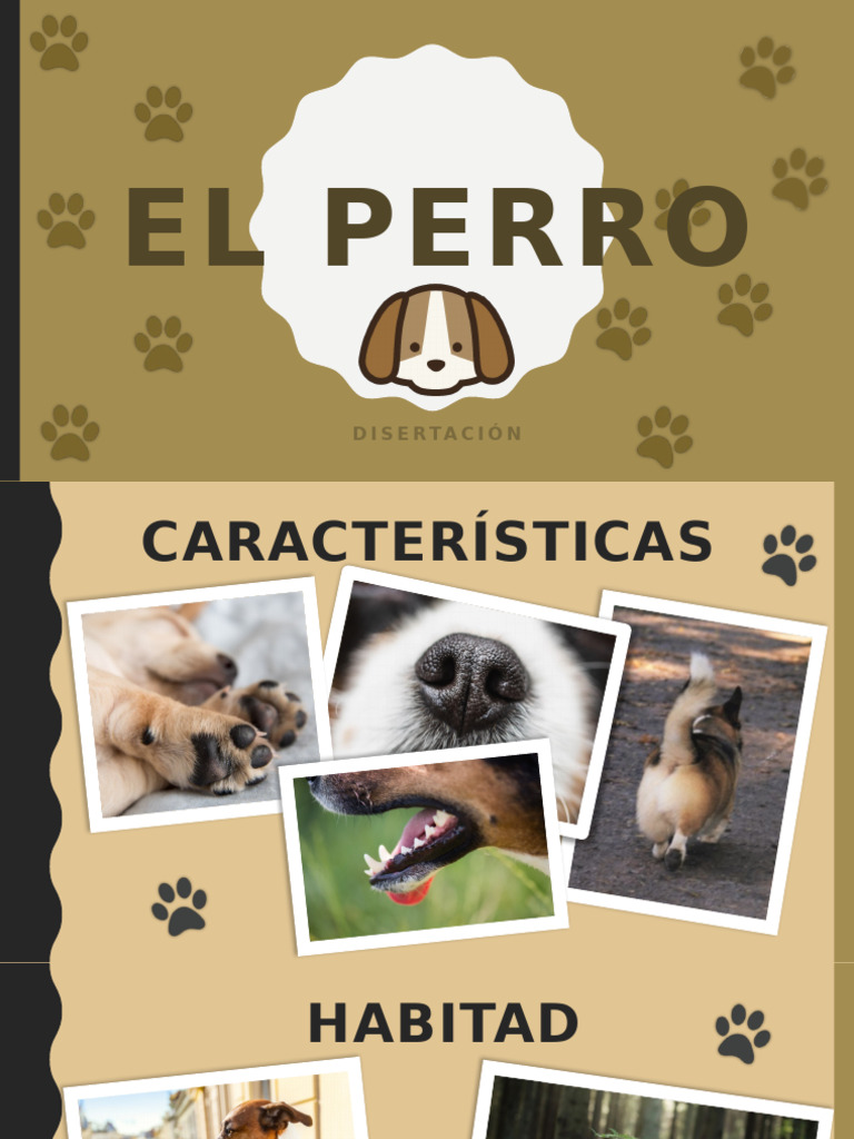 El Perro | PDF
