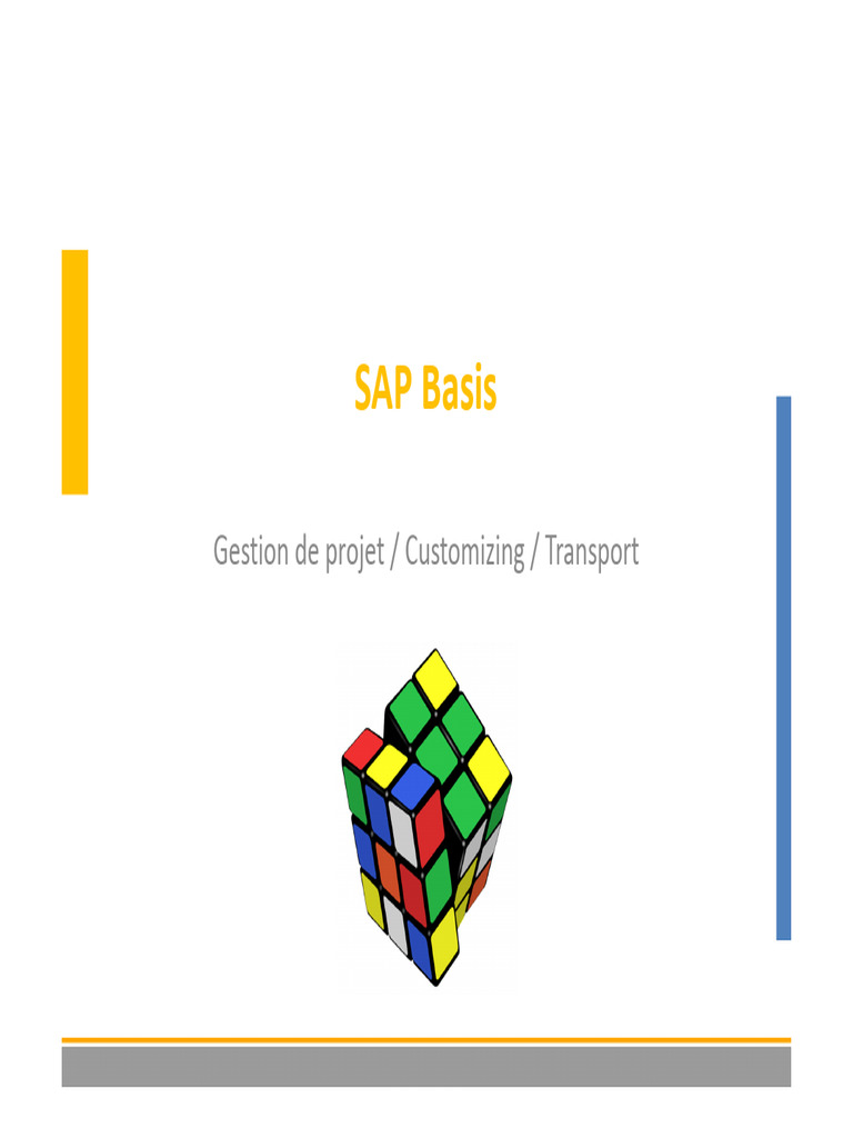 Introduction 06 Customizing Gestion Projet V2 | PDF