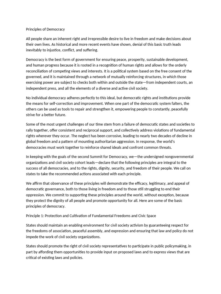 Principles of Democracy | PDF | Democracy | Social Science
