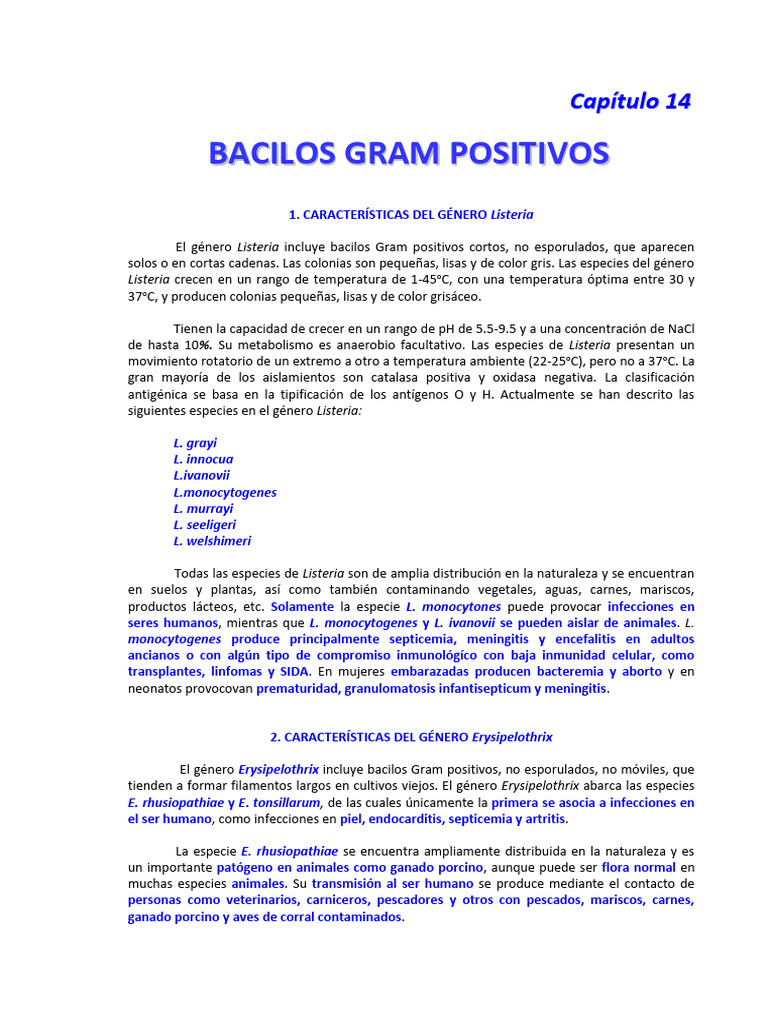 Características de Bacilos Gram Positivos | PDF | Inmunología | Las ...