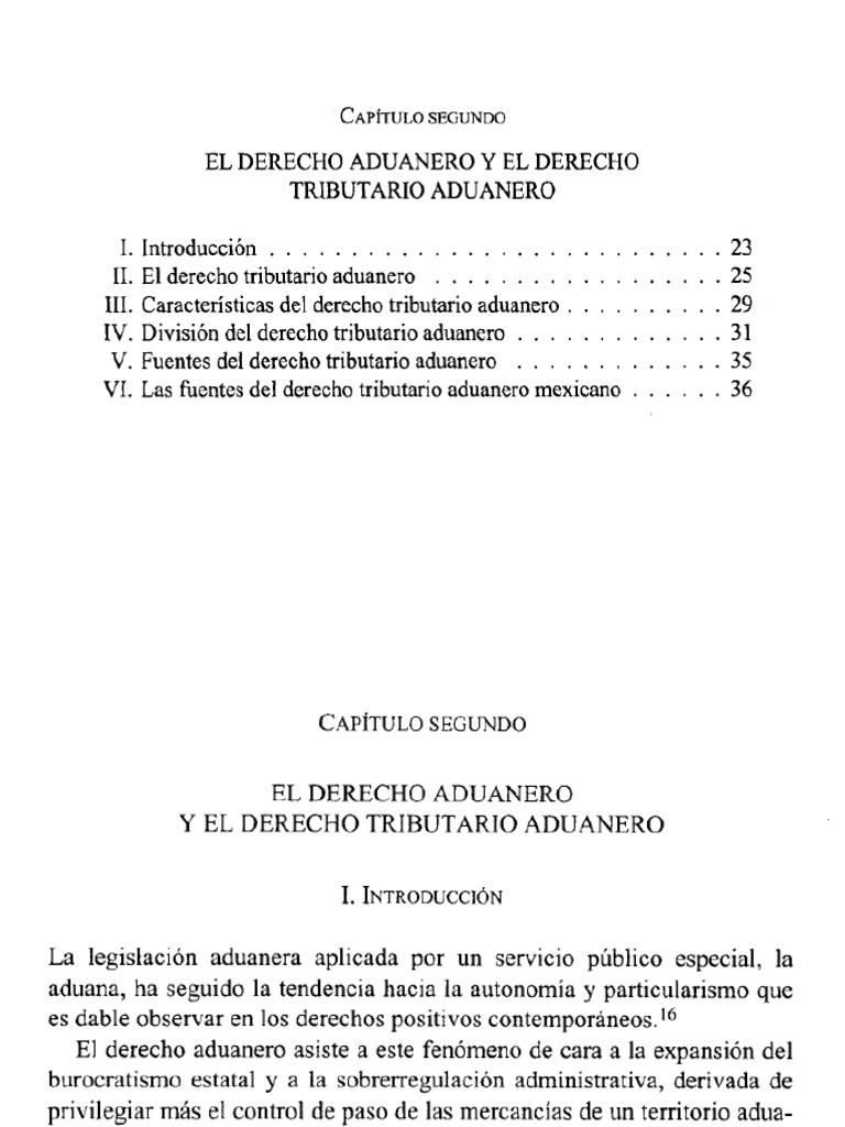 Capitulo Segundo | PDF