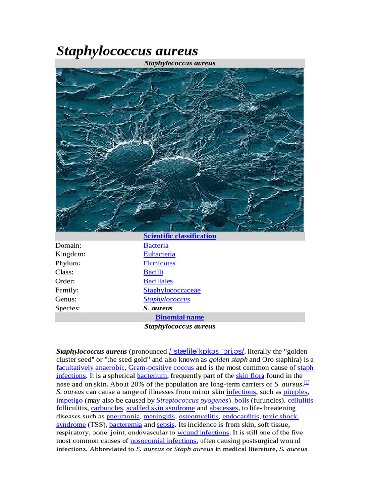 Staphylococcus Aureus | PDF