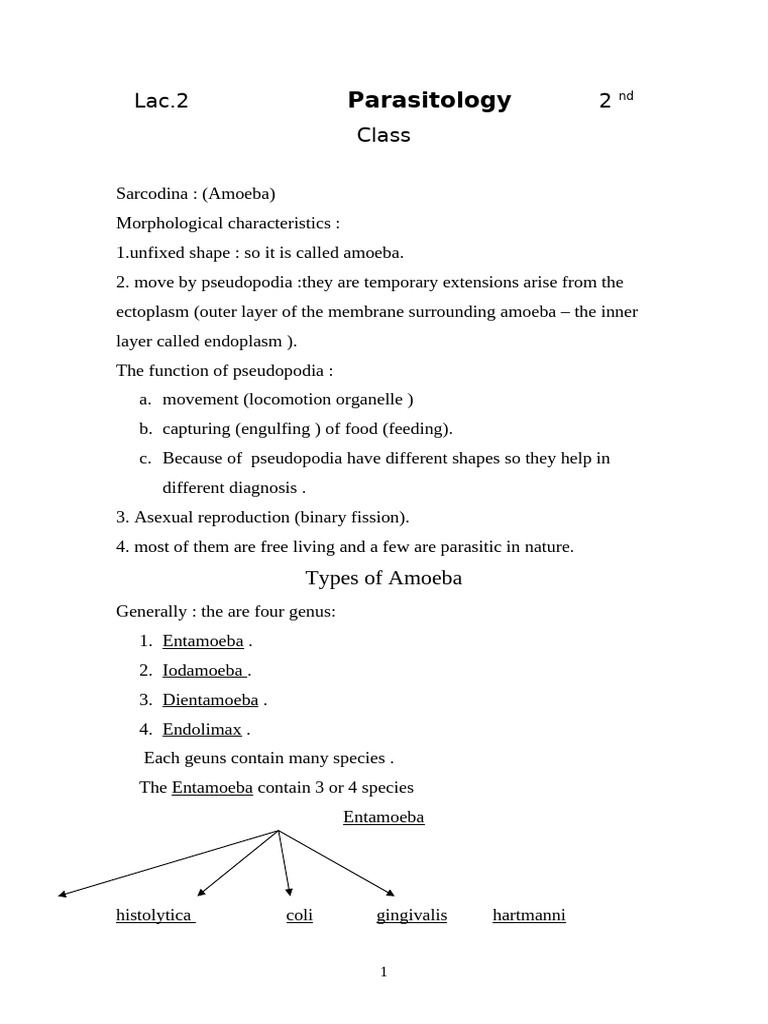 Lac 2 | PDF