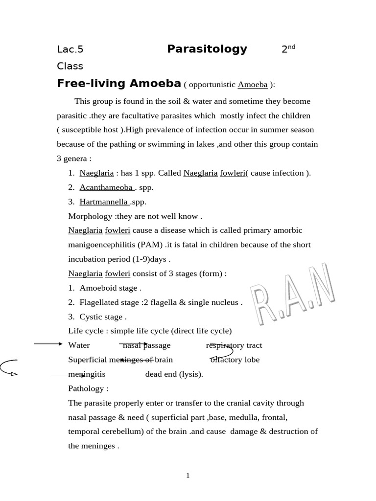 Lac 5 | PDF