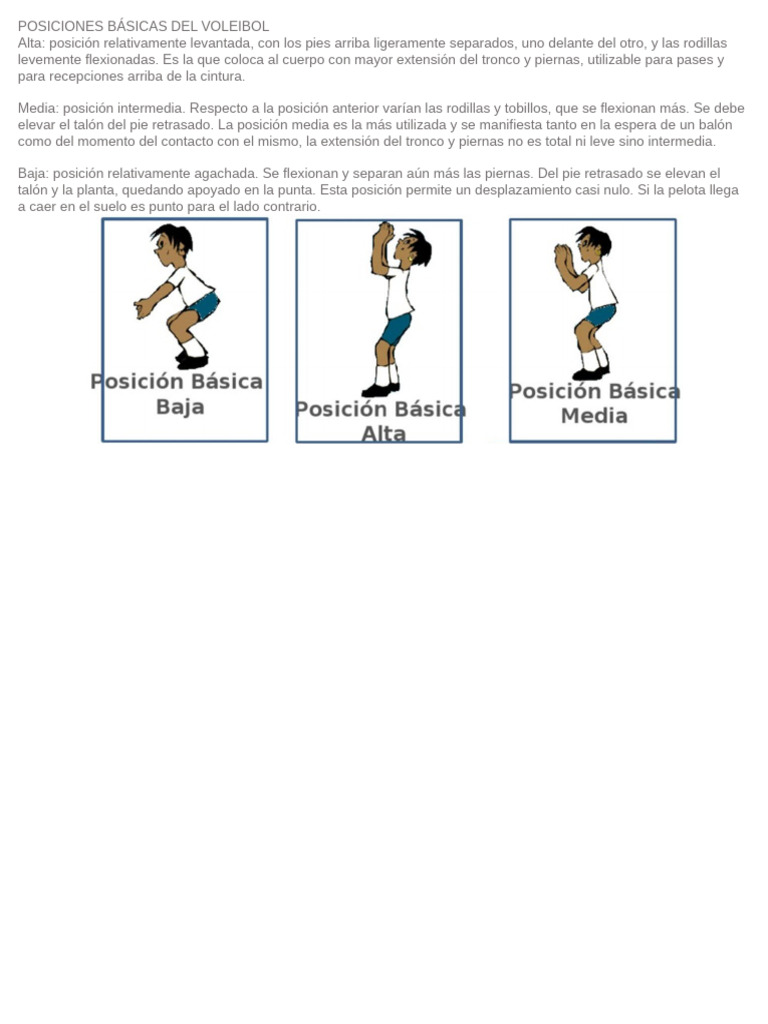 Posiciones Básicas Del Voleibol | PDF