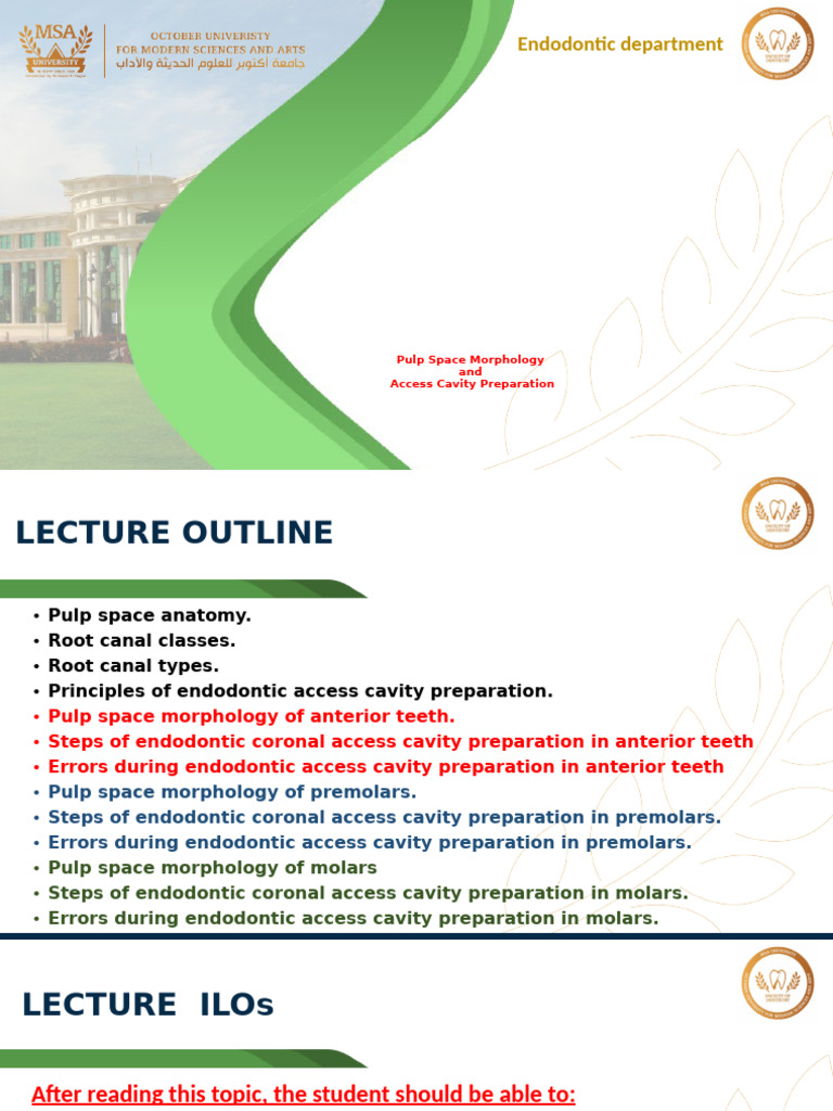 Pulp Space Morphology | PDF