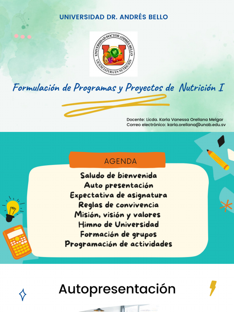 Formulacion de Programas - Inducción | PDF