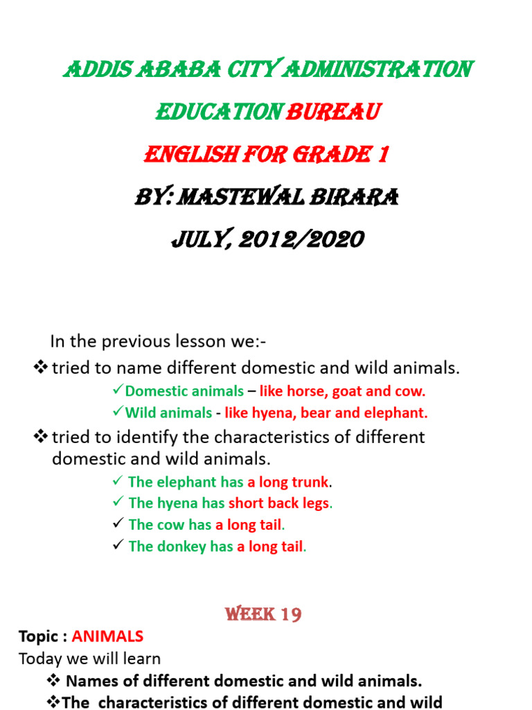 English For Grade 1 Week 19 (Lesson 1, 2 & 3) | PDF